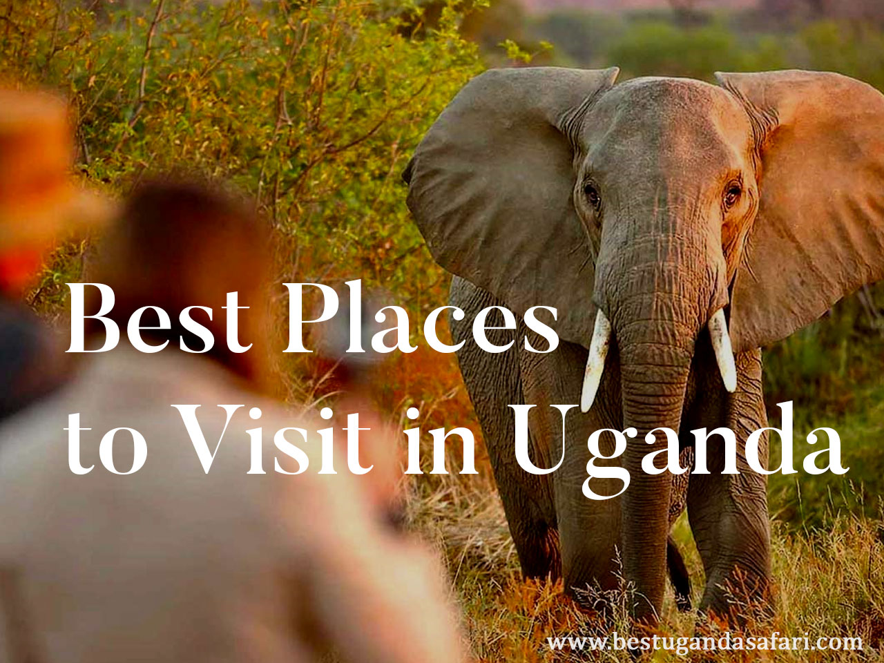 Best Places to Visit in Uganda; Top 10 tourist attractions in Uganda