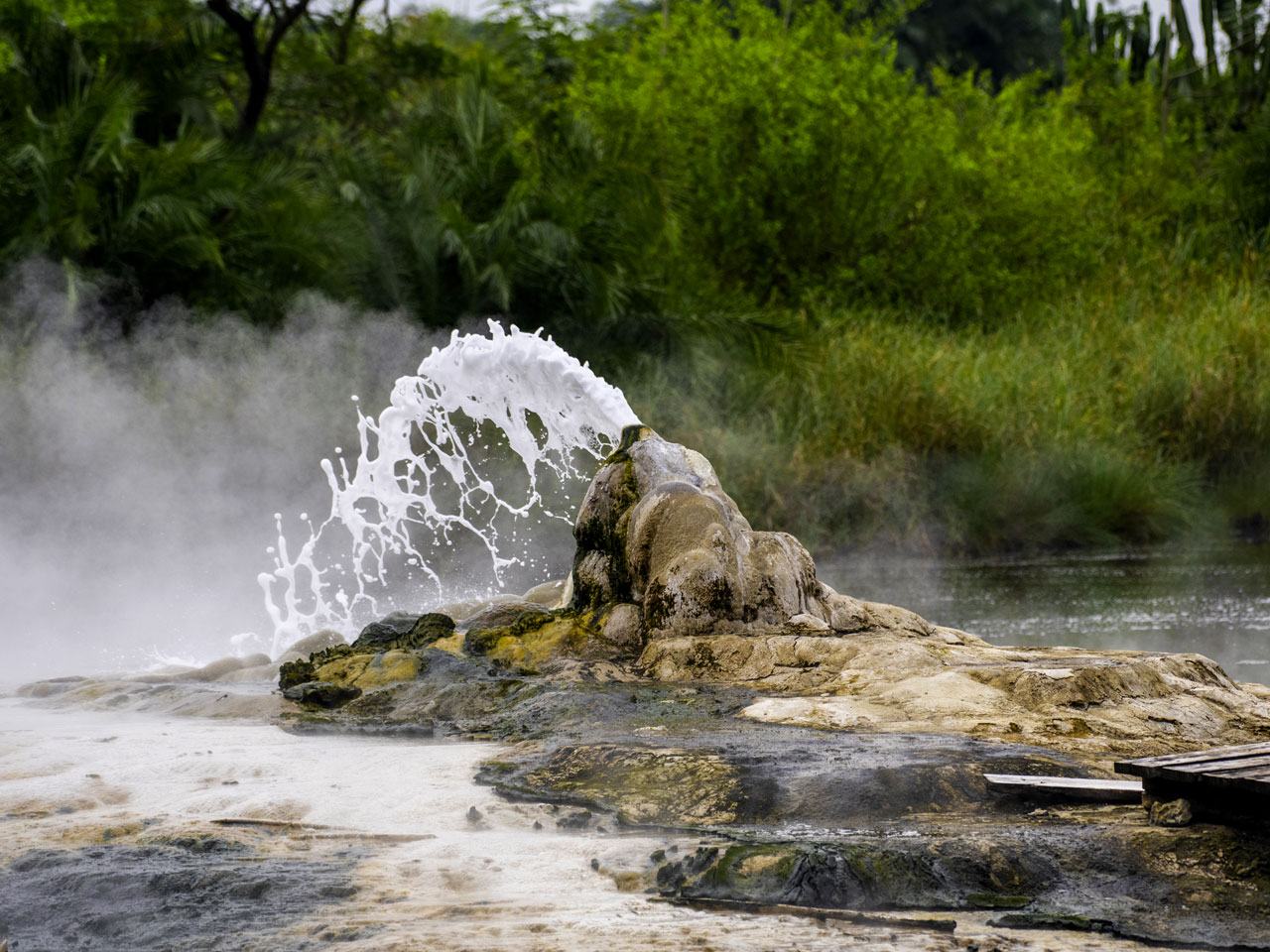 Semuliki National Park - Wildlife Tour Destination Uganda